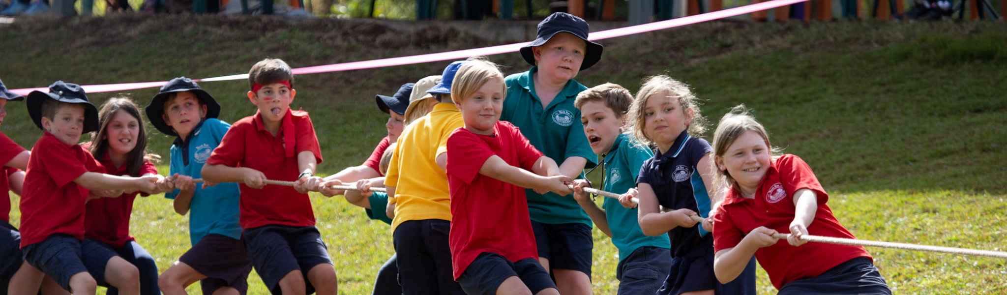 North Arm State School
